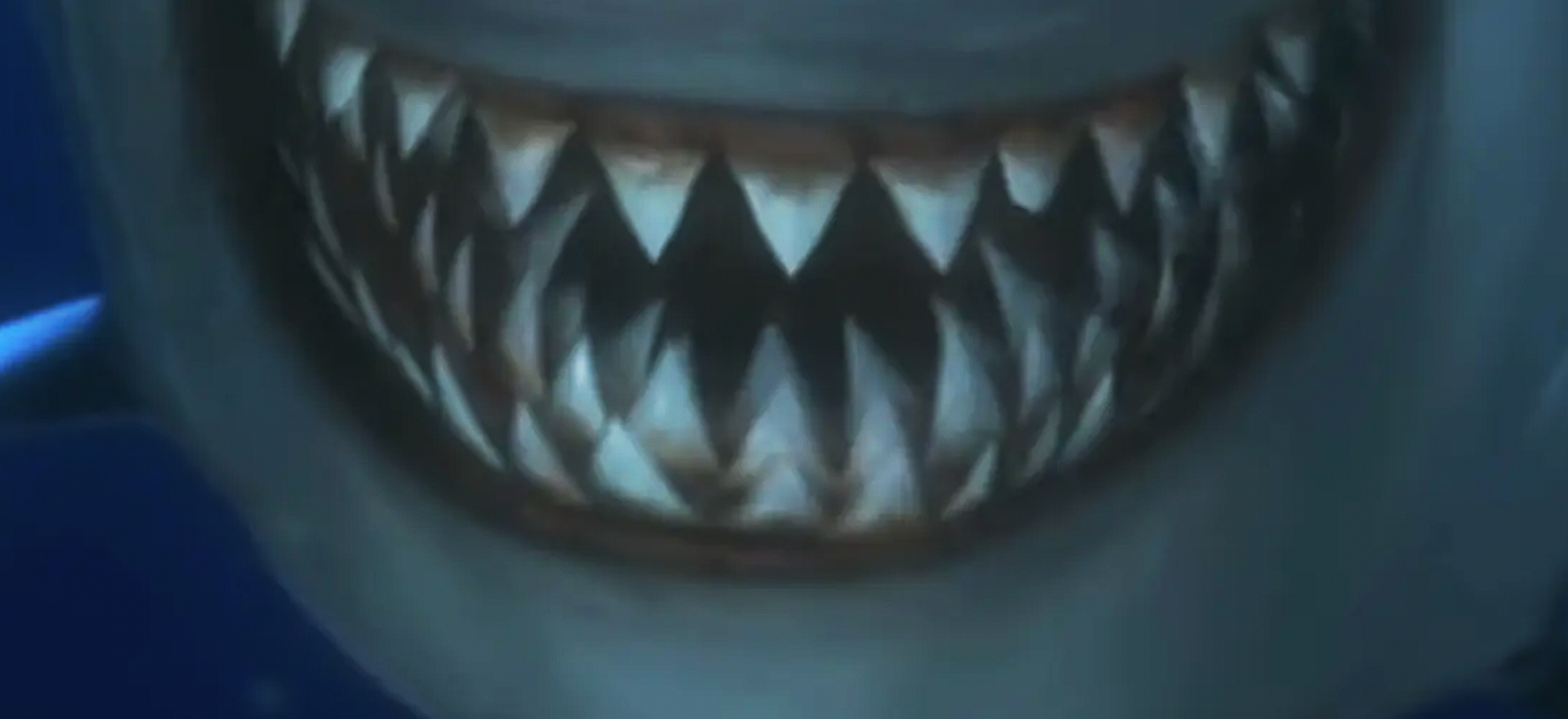 Brazylijskie rekiny naćpane jak rakiety. Jak one wciągają kokę pod wodą?